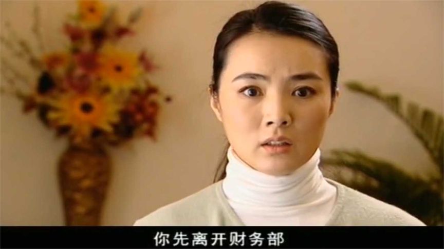 前妻:经理提拔寡妇当财务,谁料寡妇马马虎虎,竟弄丢了重要资料