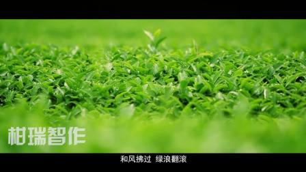 省级森林公园北山全域旅游宣传片