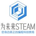 为未来青少年编程 