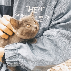 原神代肝-旅行者 