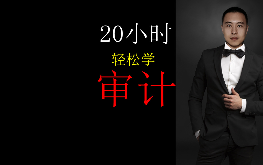 20小时轻松学注册会计师-审计