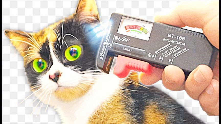 6 种让生活简单实用用品测试