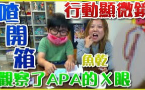 【菜喳】用显微镜观察了APA的第三只眼《uHandy》