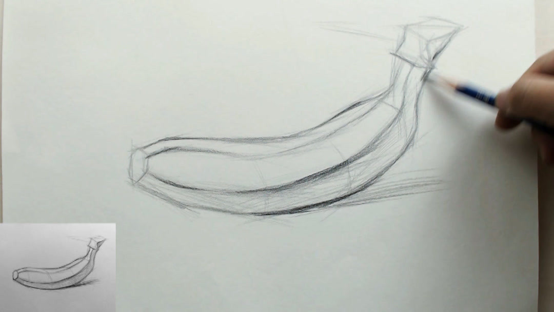 香蕉结构素描示范