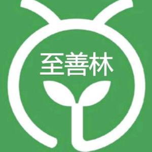 蚂蚁森林钉钉合种 