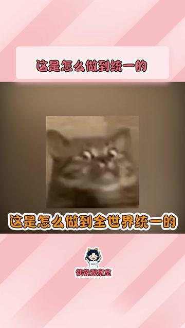 这是怎么做到全世界统一的!#万万没想到