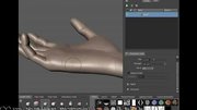 Maya 2011和 Mudbox 2011建模教程制作真实的手05