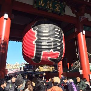 胖子磊的碎碎念 