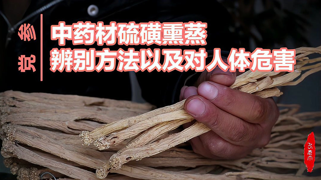 中药材容易被虫蛀,硫磺熏蒸党参对人体危害大,药农分享辨别方法