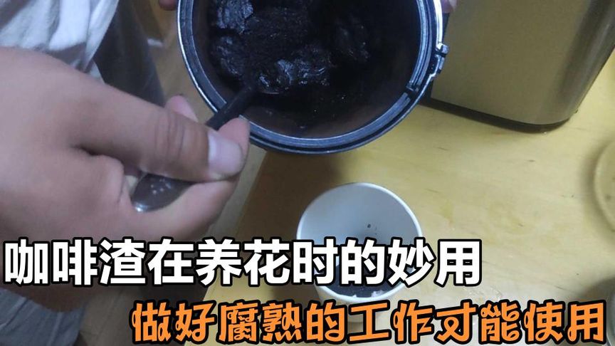 咖啡渣在养花时的妙用,做好腐熟的工作才能使用