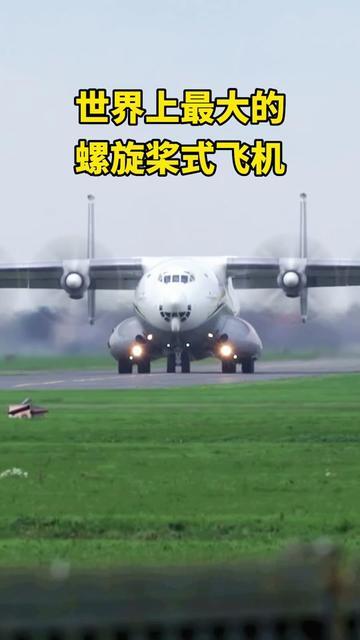 ...桨式飞机安22重型运输机,该飞机拥有4台涡桨发动机
