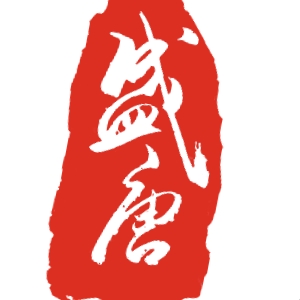 盛唐汽车内饰改装 