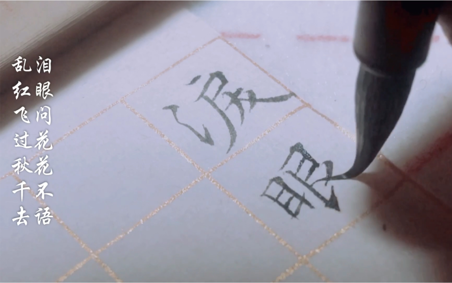 【小楷】手写《人间词话》引用诗句(第一弹)