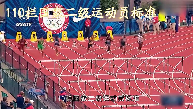 110栏国家二级运动员标准