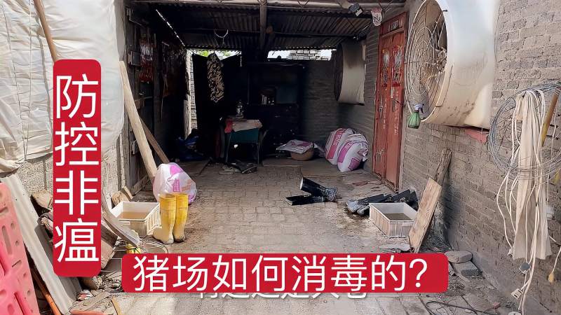 猪场防控非瘟需要注意哪些生物安全?小焦家消毒设备用的真不少