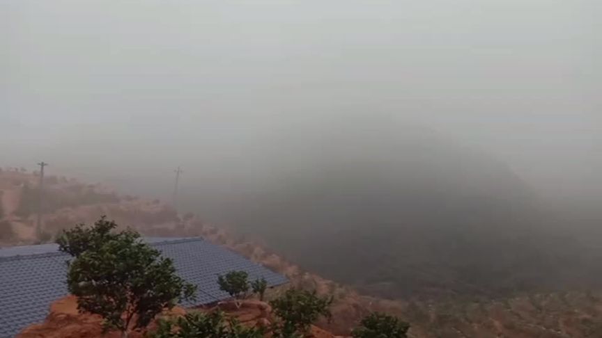 去年很多朋友的果树冻害了,做农业天占了一半,但是命不由天