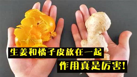 生姜和橘子皮放在一起,作用真是厉害,一般人不懂,看完跟着学学