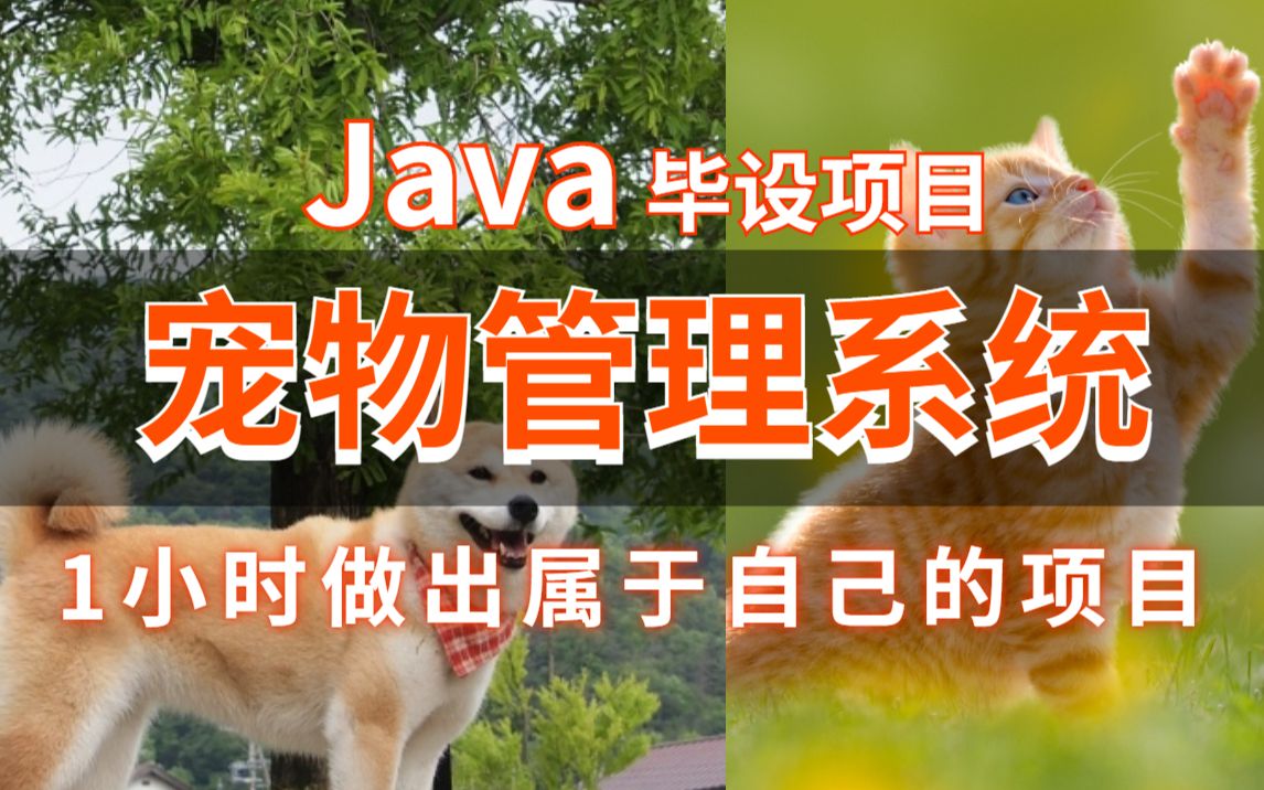 计算机JAVA毕设项目—基于JAVA的宠物管理系统实现