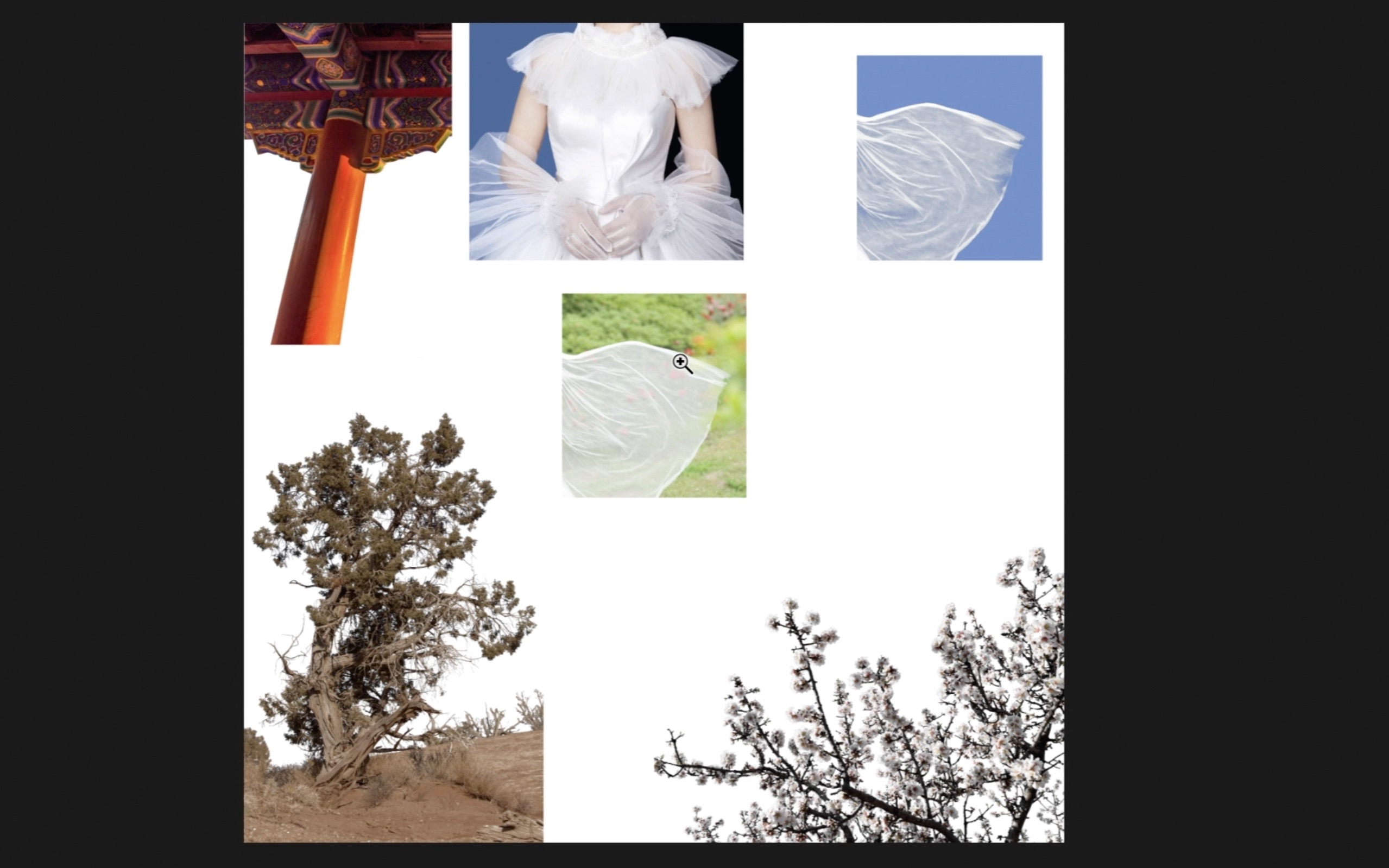 【抠图教程】PS/钢笔/色彩范围/通道抠图详细教程