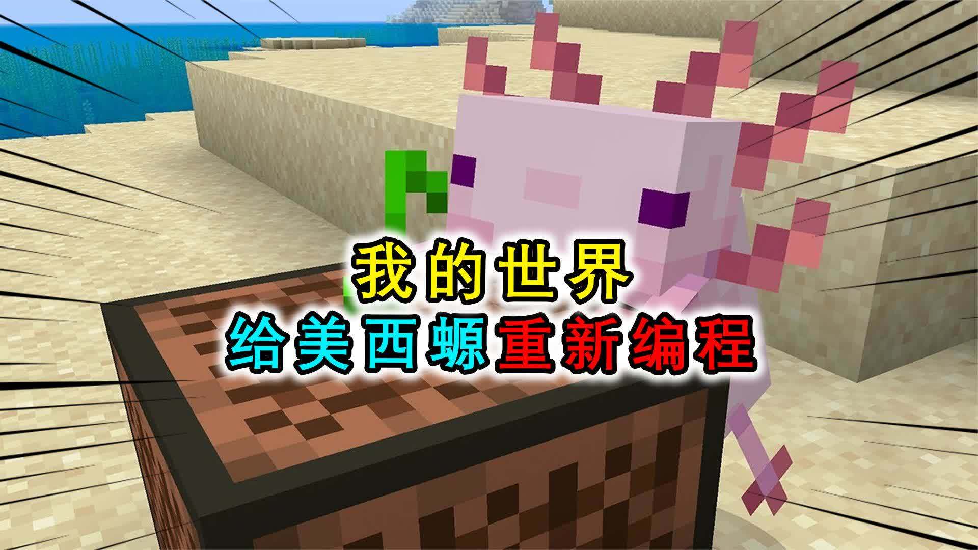 我的世界:给美西螈重新编程,会在晚上睡觉,躺在水中...