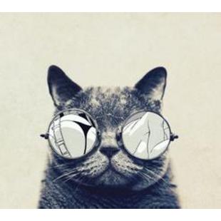 程序员自然保护区 