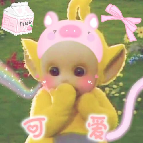 一只可爱的花花鱼 