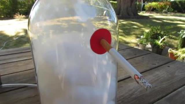 30包烟的危害有多大?仿真模拟实验告诉你,分分钟肺就变黑炭