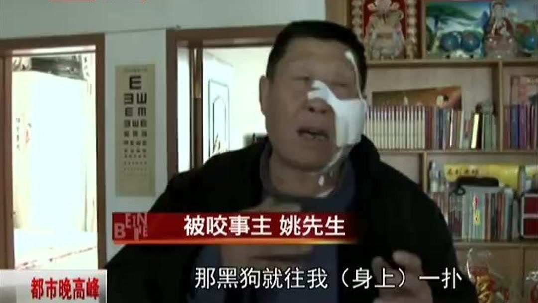 藏獒伤人 警方及时捕获除隐患-20141205都市晚高峰-凤凰视频-最具...