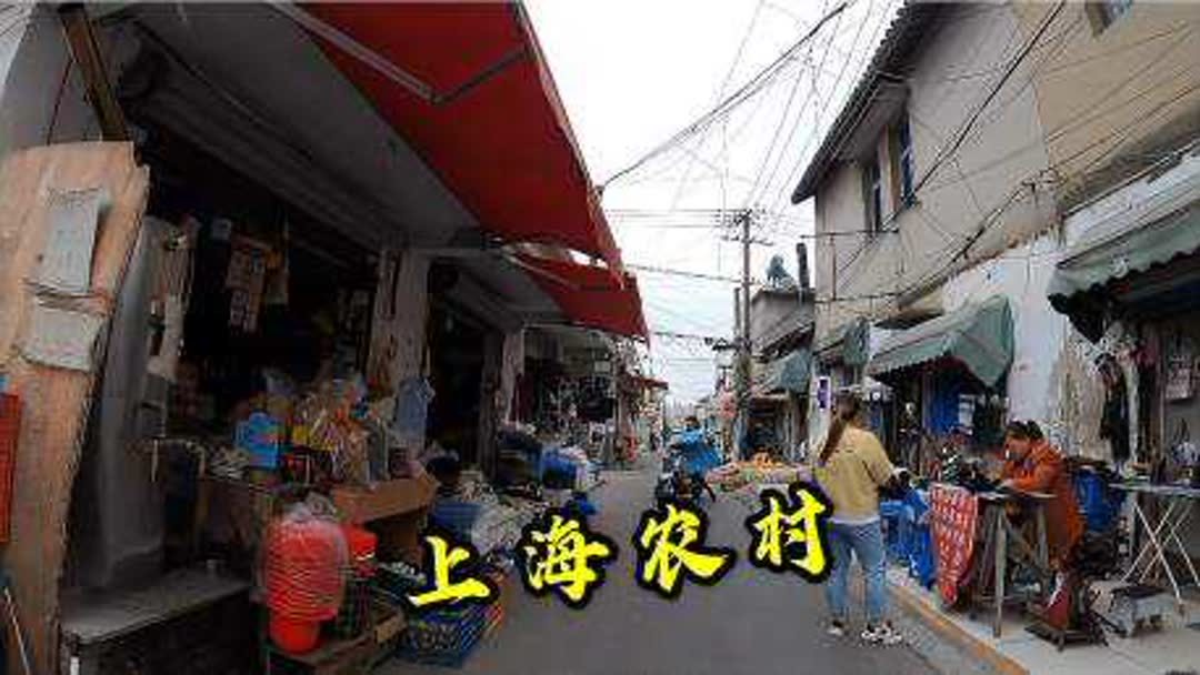 实拍上海农村最真实样子,这环境跟你们家乡对比一样吗?