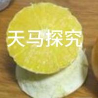天马探究 