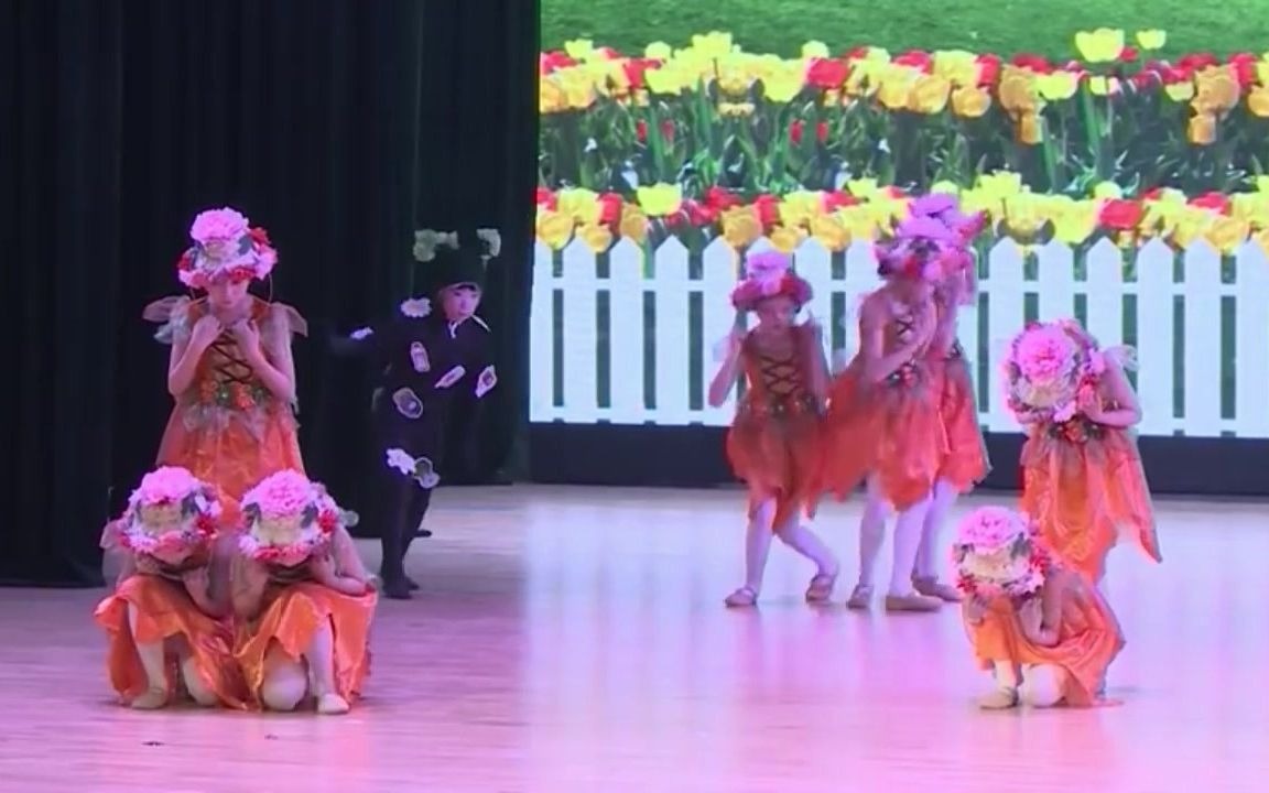 舞蹈,每天收集一点点——儿童环保主题舞蹈《四季花开》