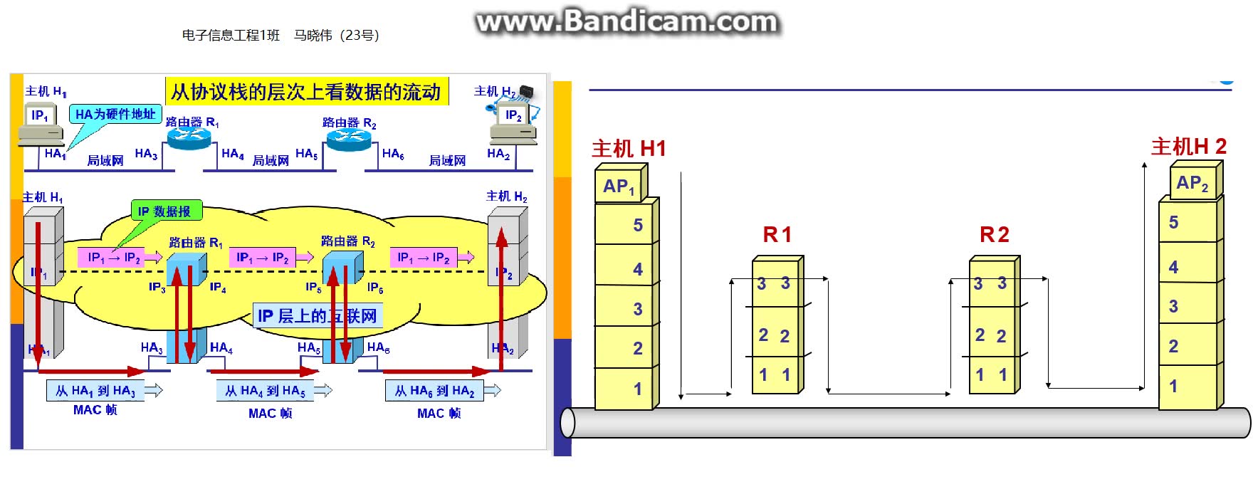 网络信息传递过程讲解_马晓伟