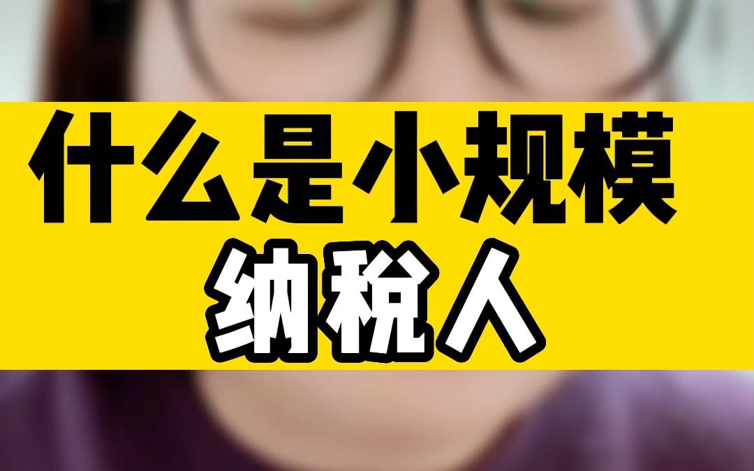 什么是小规模纳税人