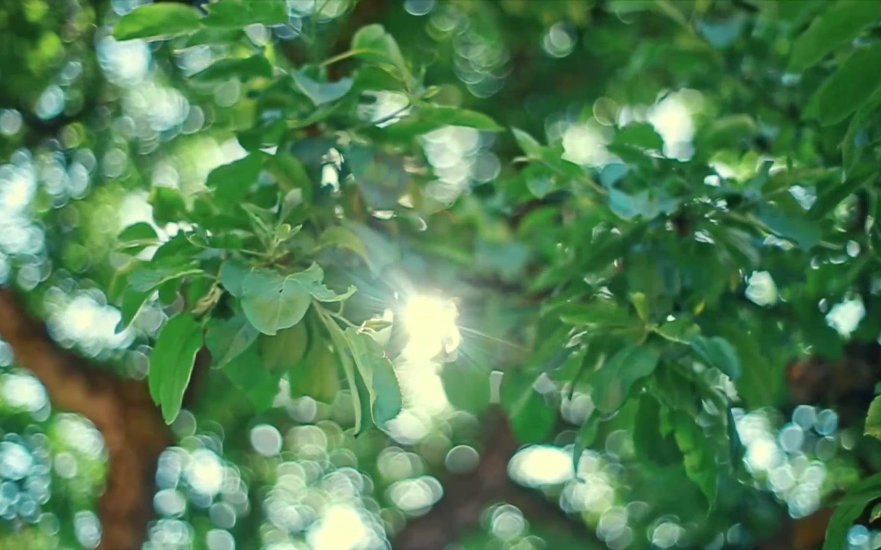 AE教程:非常有趣的分身特效教程