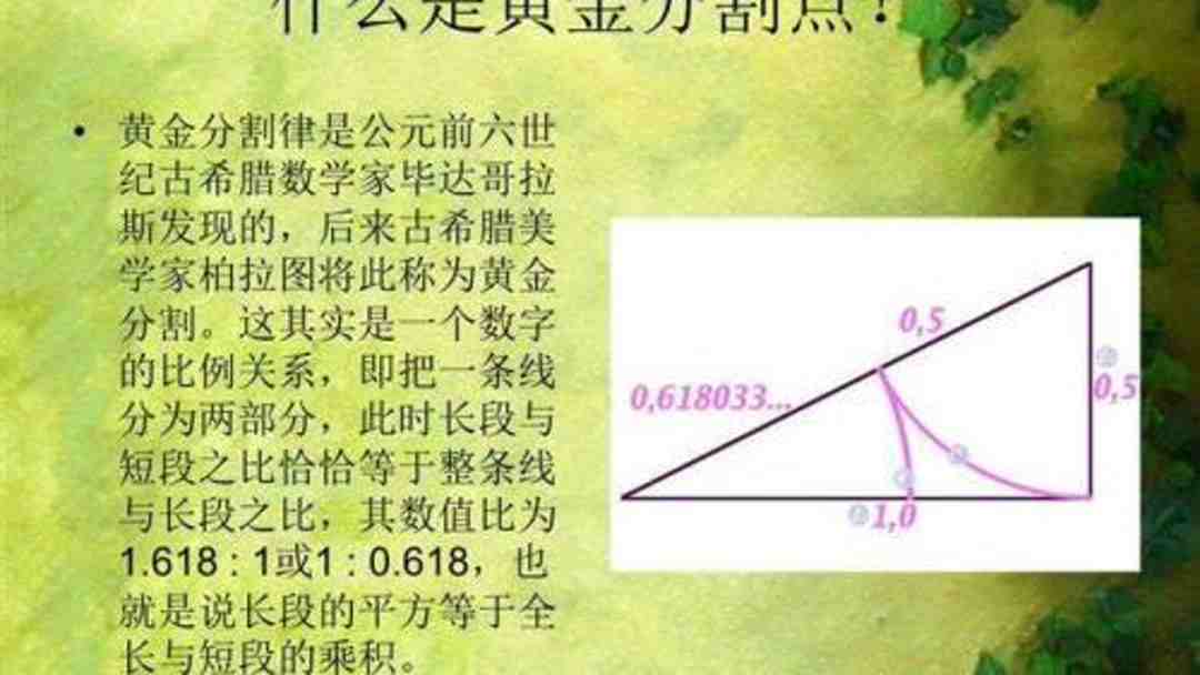 黄金分割线如何设置止损位【散户投资短线操盘攻略】星雅龙文龙