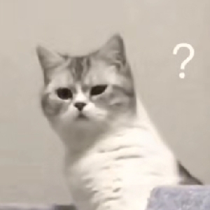 一只用猫咪表情包的猪 