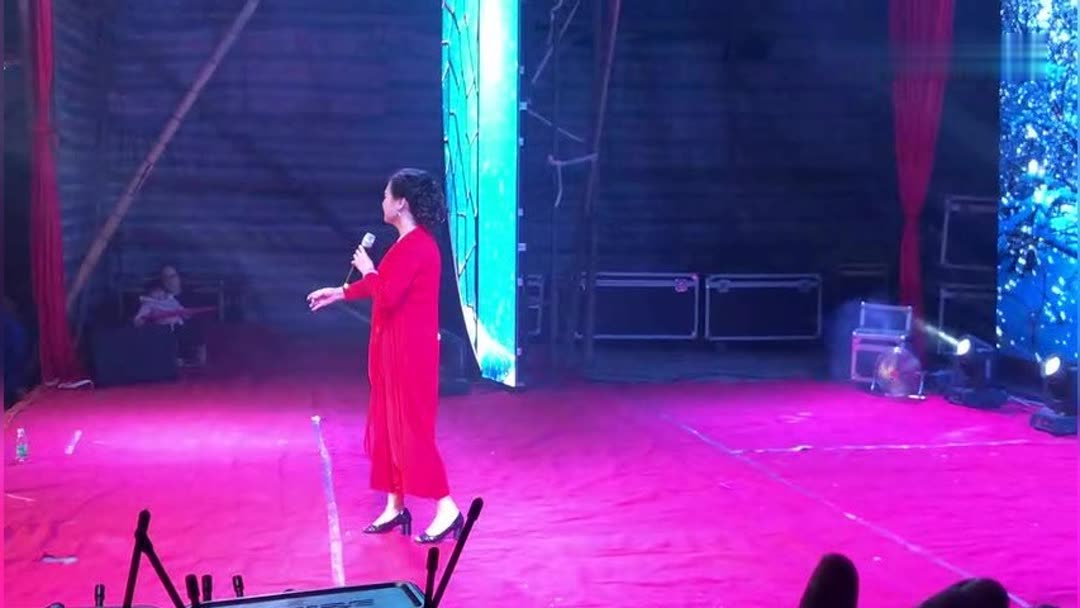 国家一级潮剧演员刘小丽现场版《满怀热血》听醉了