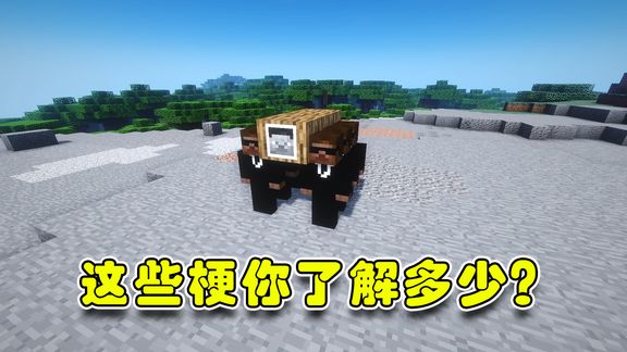 蓝少我的世界:你是不是一个老二次元?梗多的武器模组介绍!