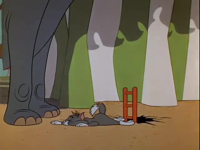 猫和老鼠:汤姆追赶杰瑞,结果被大象抓住,把他一飞冲天