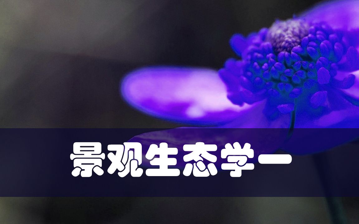 景观生态学二