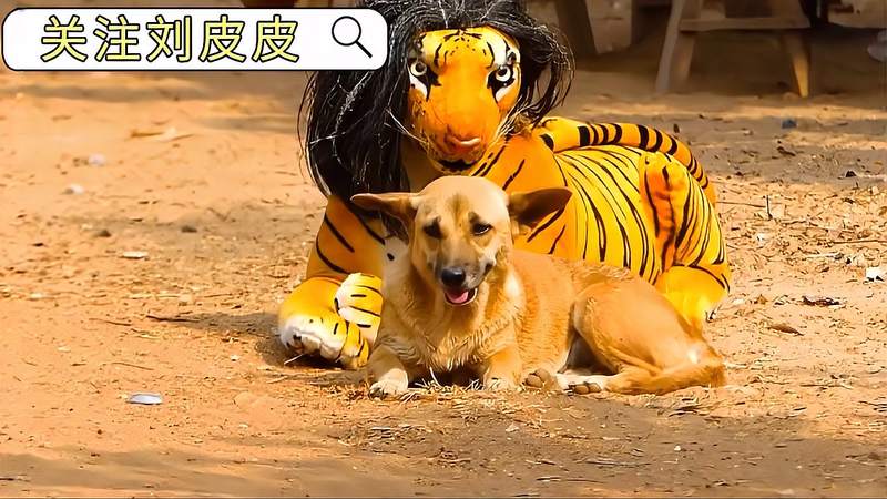 刘皮皮搞笑视频合集