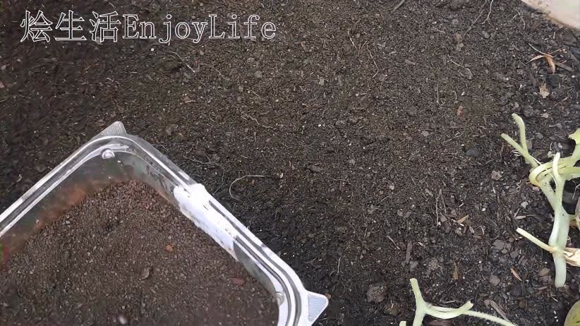 咖啡渣对种菜的6大应用,注意事项,5种咖啡渣有机肥的制作
