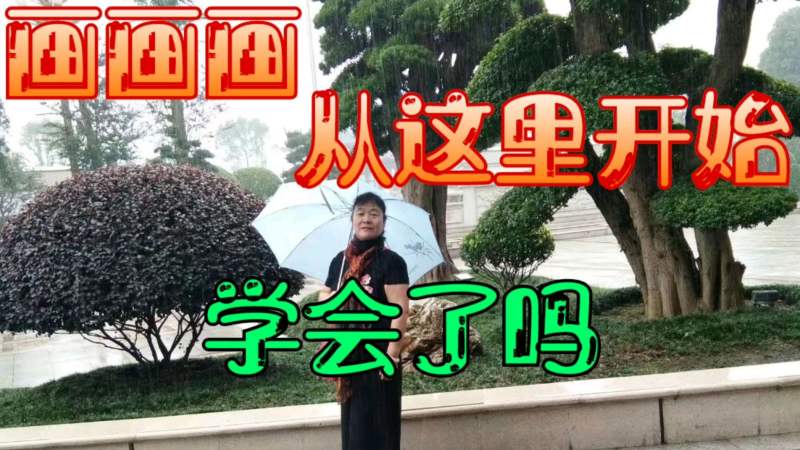 零基础学画画进了还会学到啥