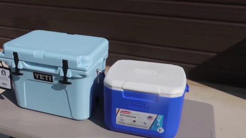 20美元和200美元的冷冻箱对比,谁会更胜一筹?结果颠覆认知