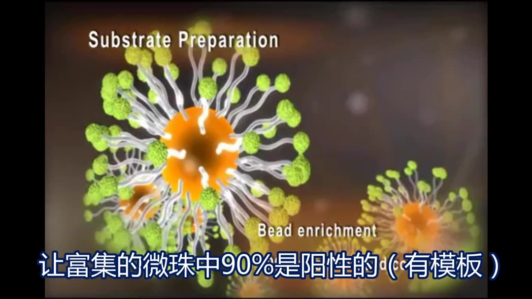 【陈巍学基因】SOLiD测序原理