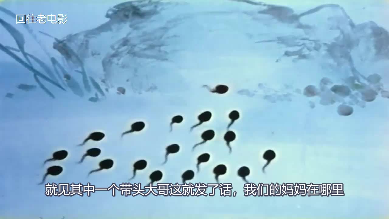 国风水墨动画片,童年时光的动漫,国产经典电影解说