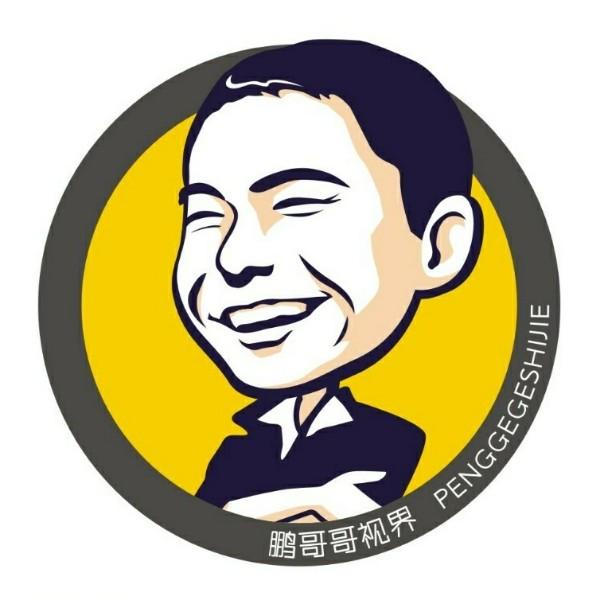 鹏哥哥视界 