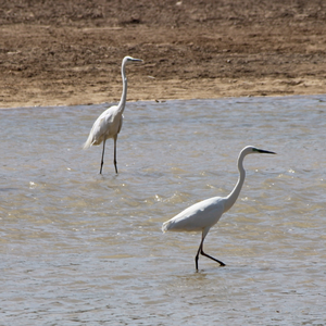 闲适时光（影视人文历史社科） 