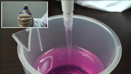 移液器-润洗及正向吸液