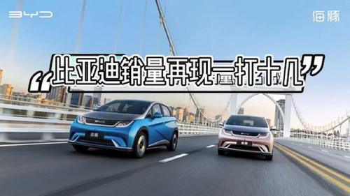 2022年2月新能源汽车销量排行榜再现一打十几的现象